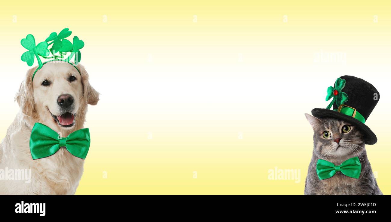 St. Patrick's day celebration. Cute dog and cat with green festive ...