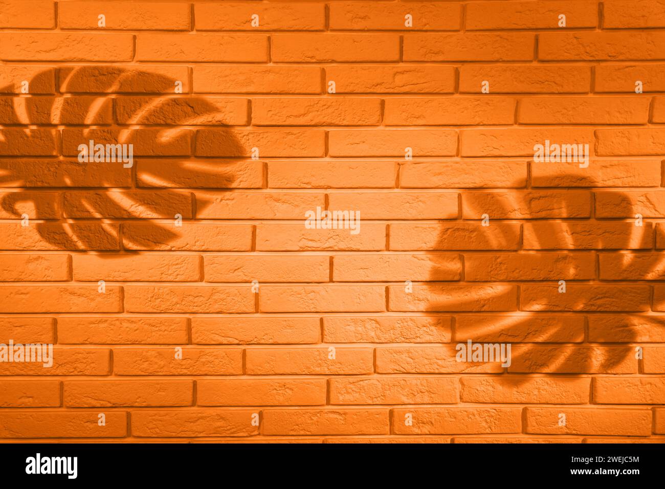Shadows of monstera leaves on orange brick wall Stock Photo - Alamy