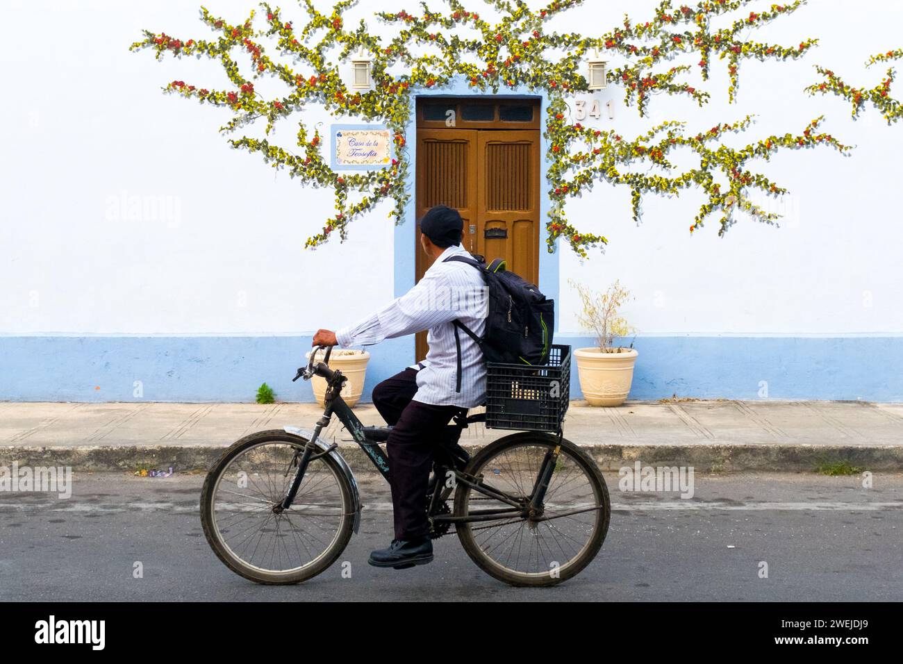 Man riding a bicycle in front of a Mural on a house in downtown Merida ...