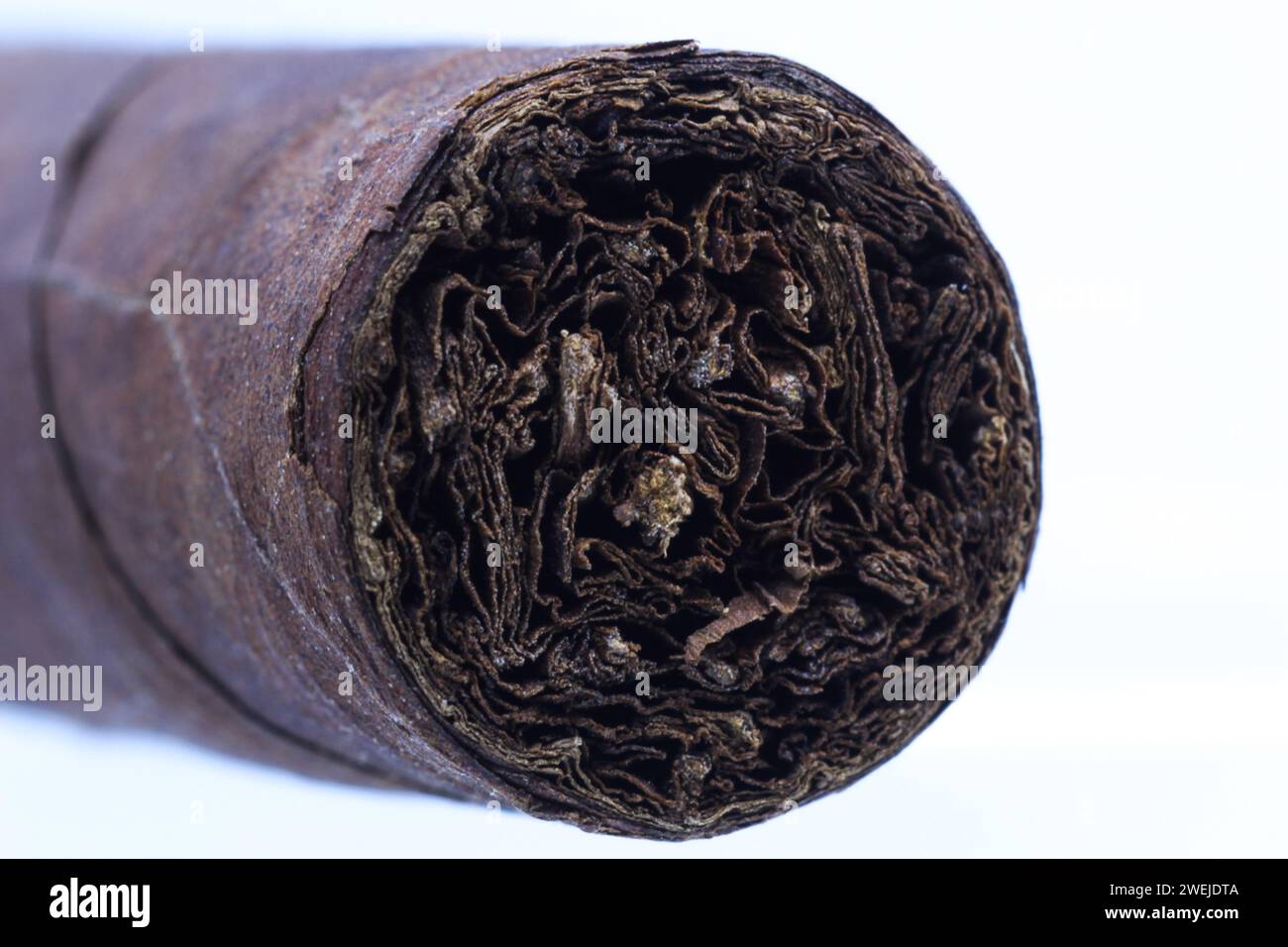 Unlit cigar hi-res stock photography and images - Alamy