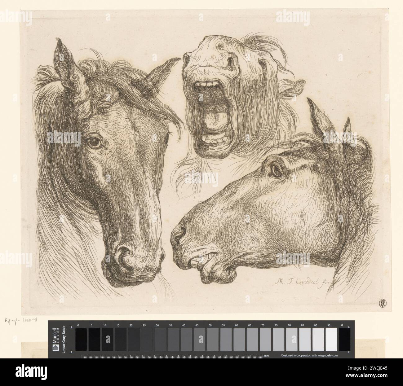 Three horse heads, Martin Ferdinand Quadal, 1793 print paper etching ...