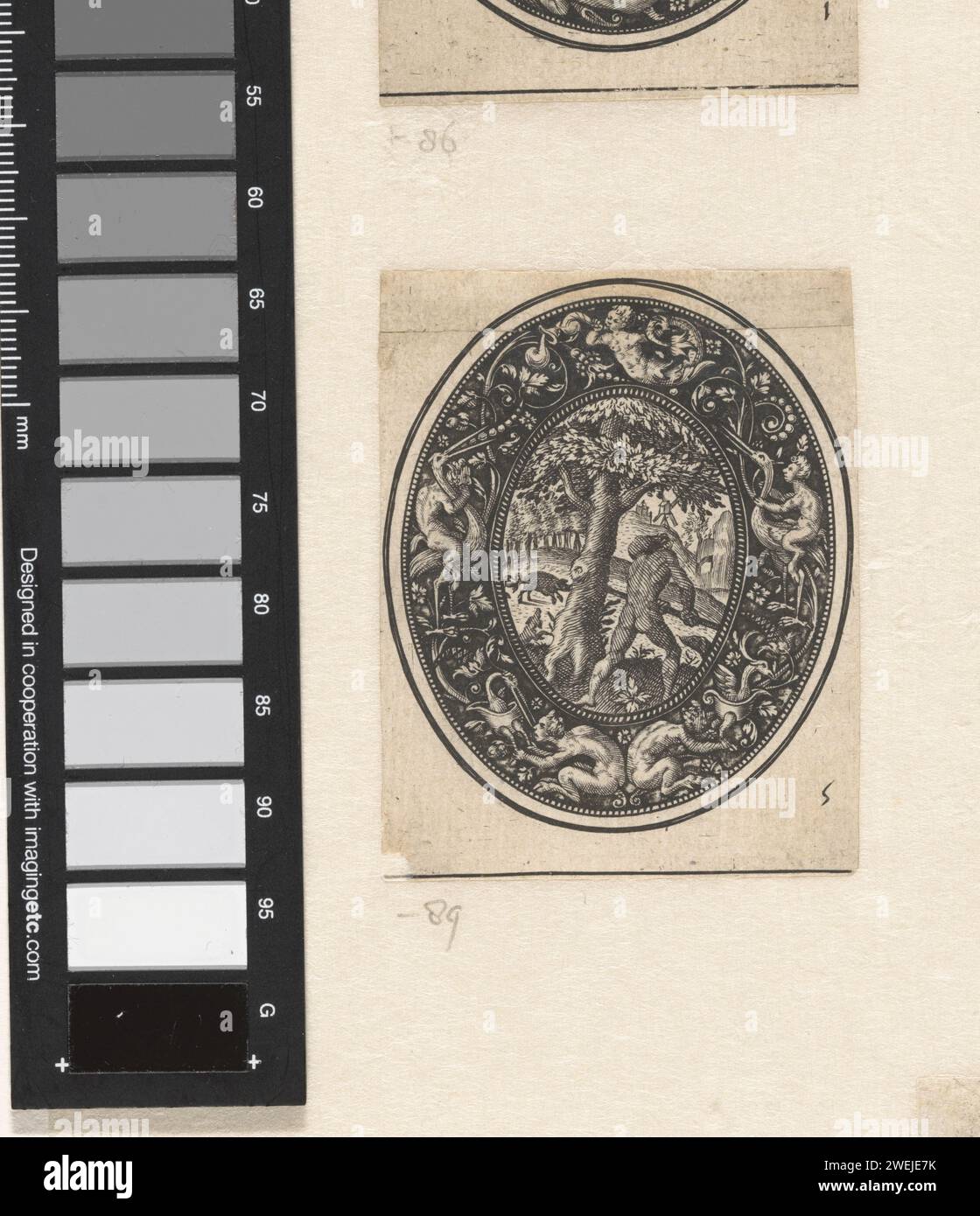 Mermaid hunting hi-res stock photography and images - Alamy