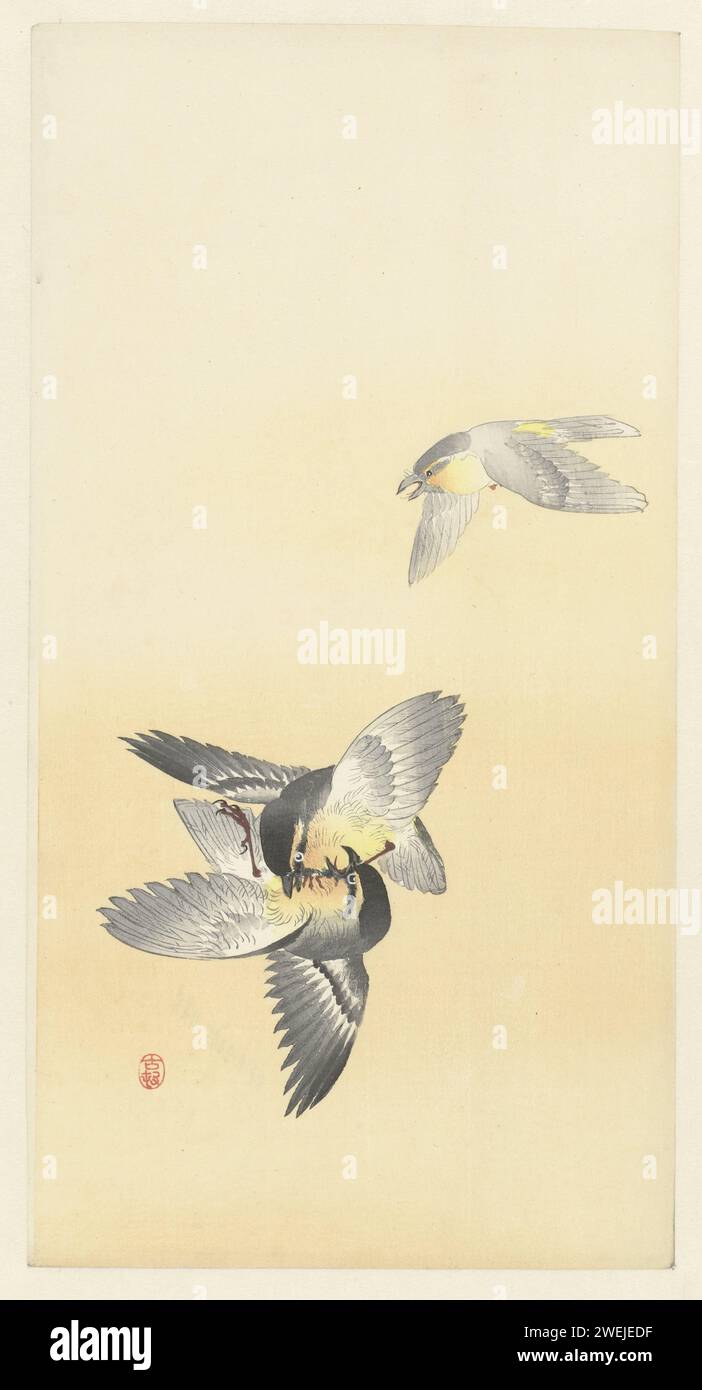 Two fighting birds, 1900 - 1936 print Two birds fighting in the air; A ...