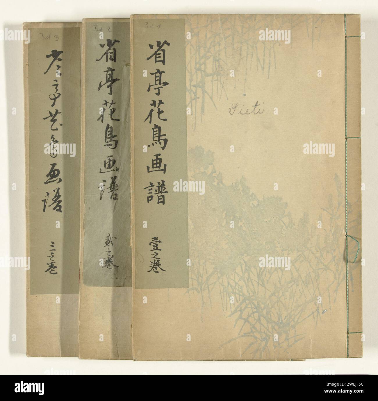 Sketches of flowers and birds from Shotei, 1890 - 1891 book Book from ...