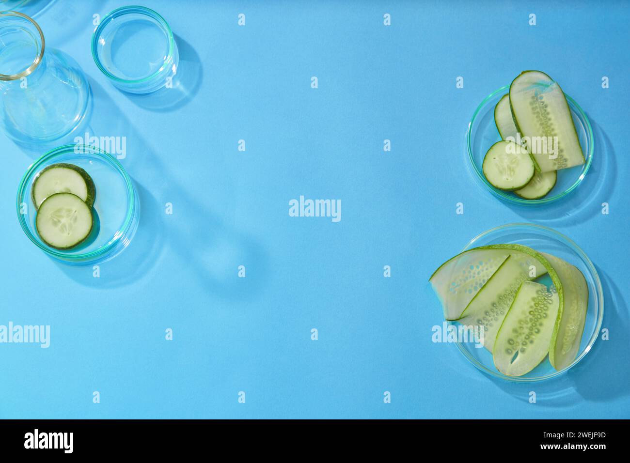 Top view of fresh cucumber slices decorated on blue background with lab ...