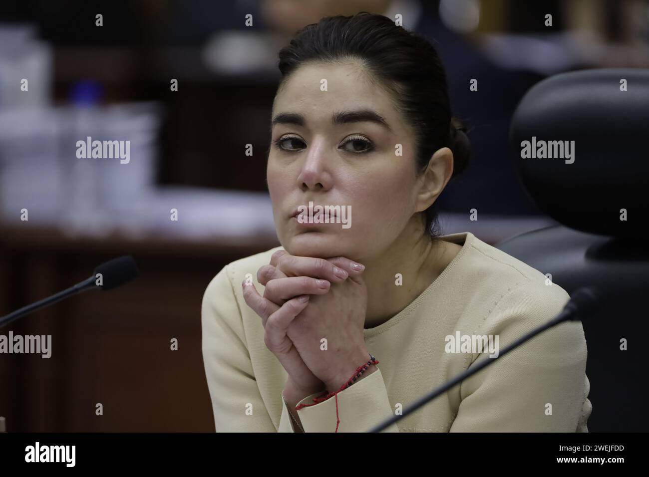 Mexico City, Mexico. 25th Jan, 2024. Electoral counselor, Dania Ravel ...