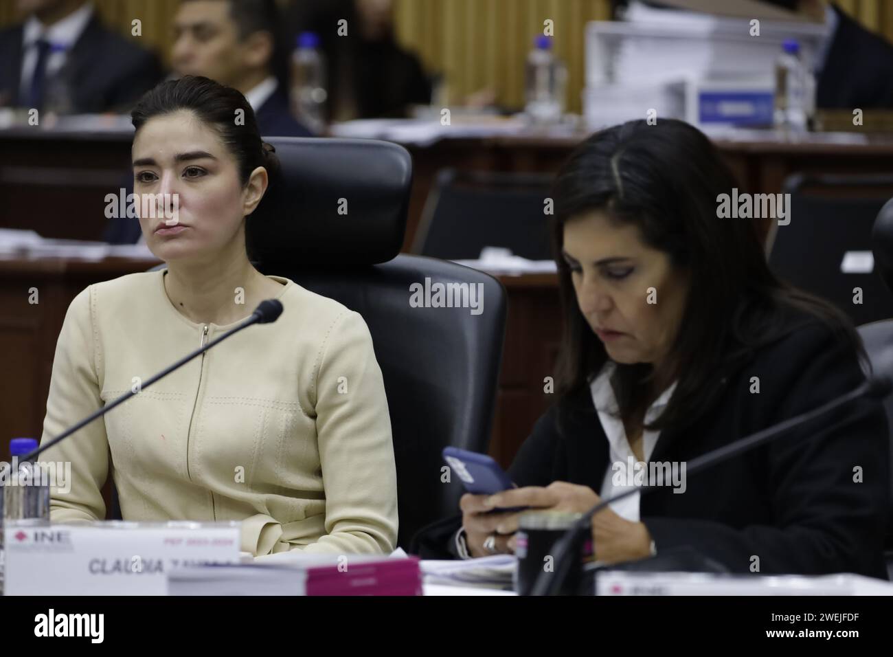 Mexico City, Mexico. 25th Jan, 2024. Electoral advisors, Dania Ravel ...