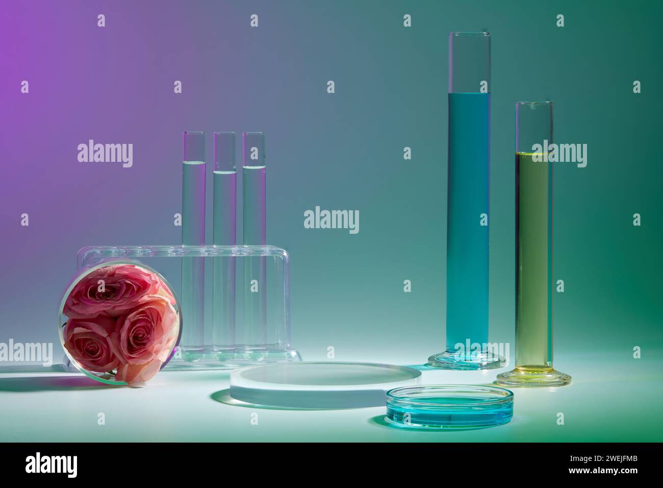 Scene for advertising cosmetic of rose extract with laboratory concept ...
