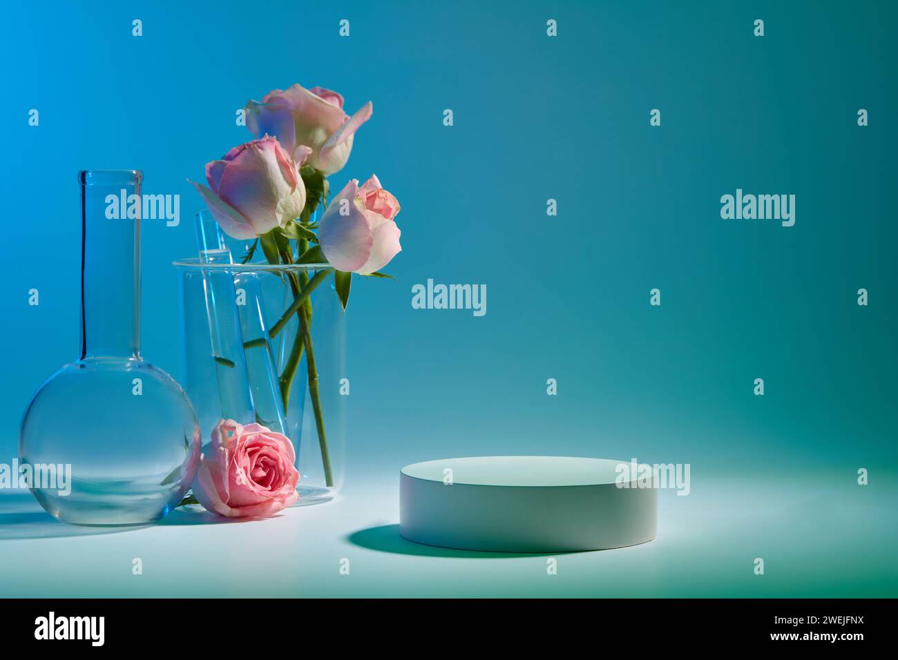 Minimal scene for cosmetic product of rose extract presentation. An ...