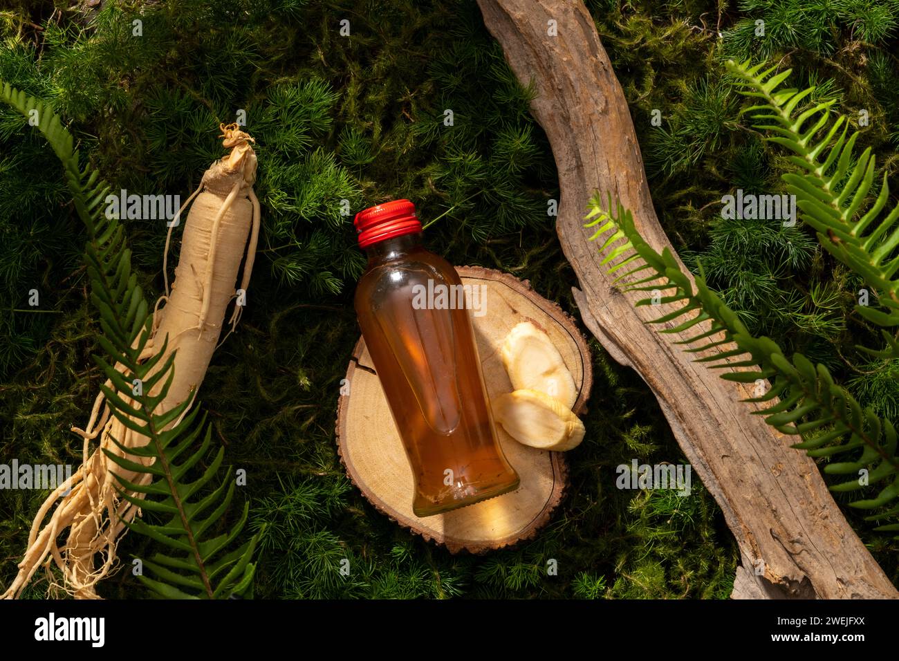Panax sp hi-res stock photography and images - Alamy