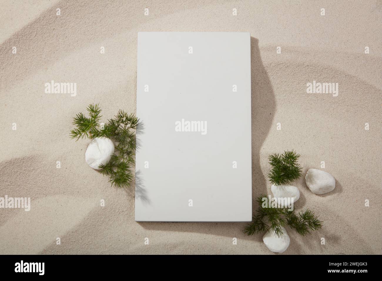 Top view of white rectangle platform, small green grass and white ...