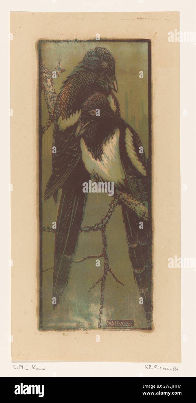 Magpies artwork hi-res stock photography and images - Alamy