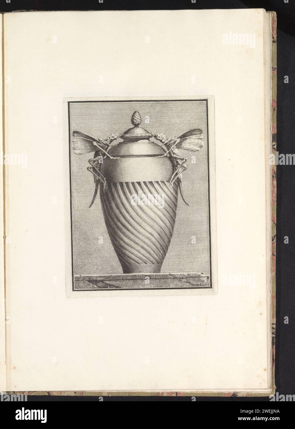 No belly button hi-res stock photography and images - Alamy