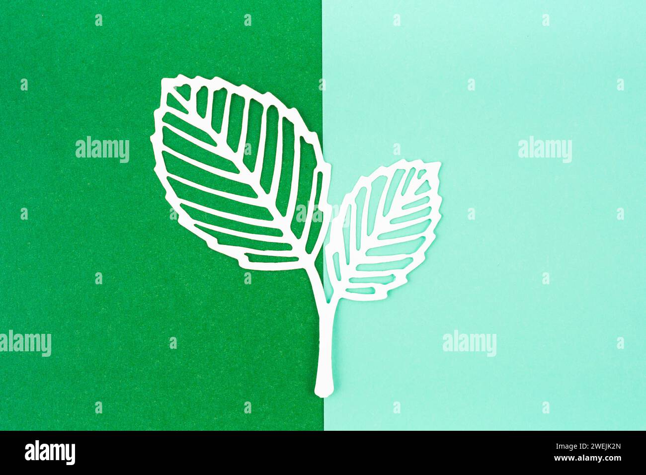 White leaf from cutting paper on green color background. Environment ...