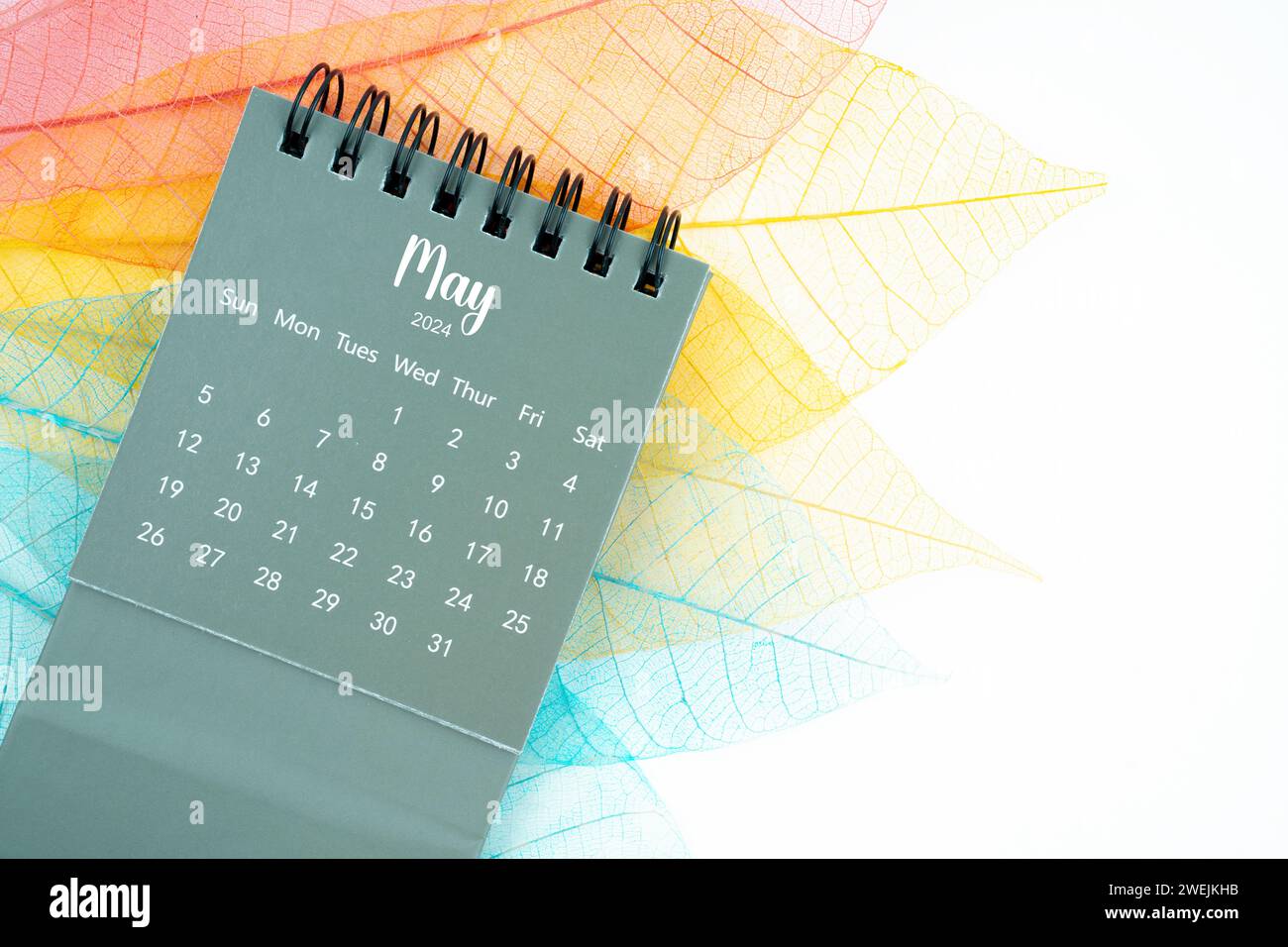 May 2024 monthly desk calendar and fiber structure of dry leaves ...