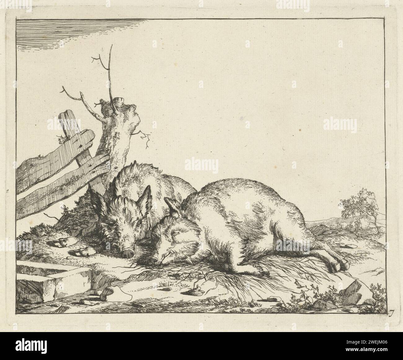 Two pigs lying by Hek, Marcus de Bye, After Paulus Potter, 1728 - c ...