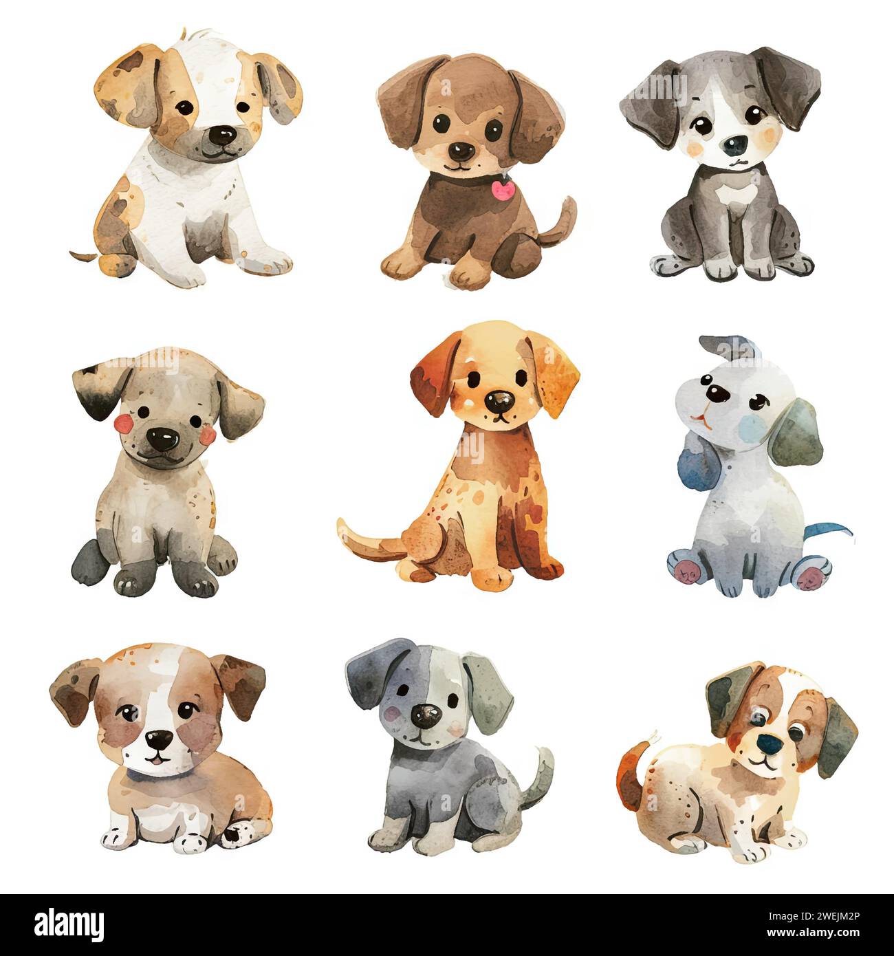 Vector hand drawn puppy collection Stock Vector Image & Art - Alamy