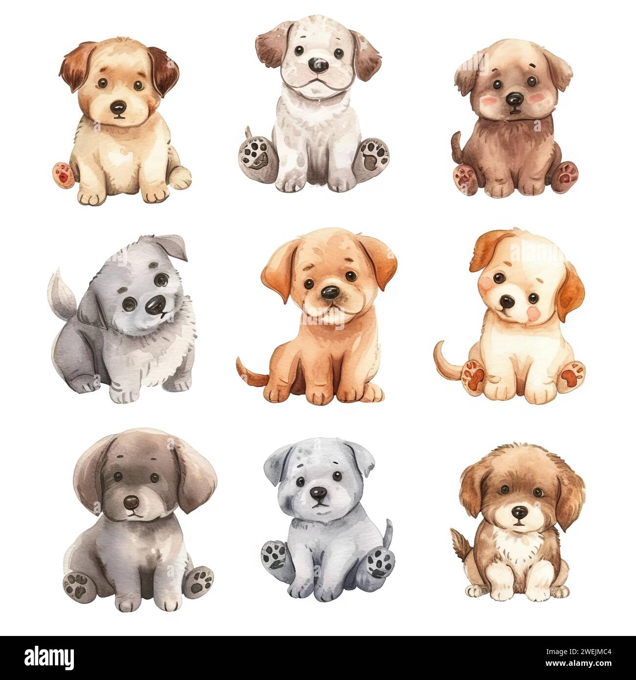Vector hand drawn puppy collection Stock Vector Image & Art - Alamy