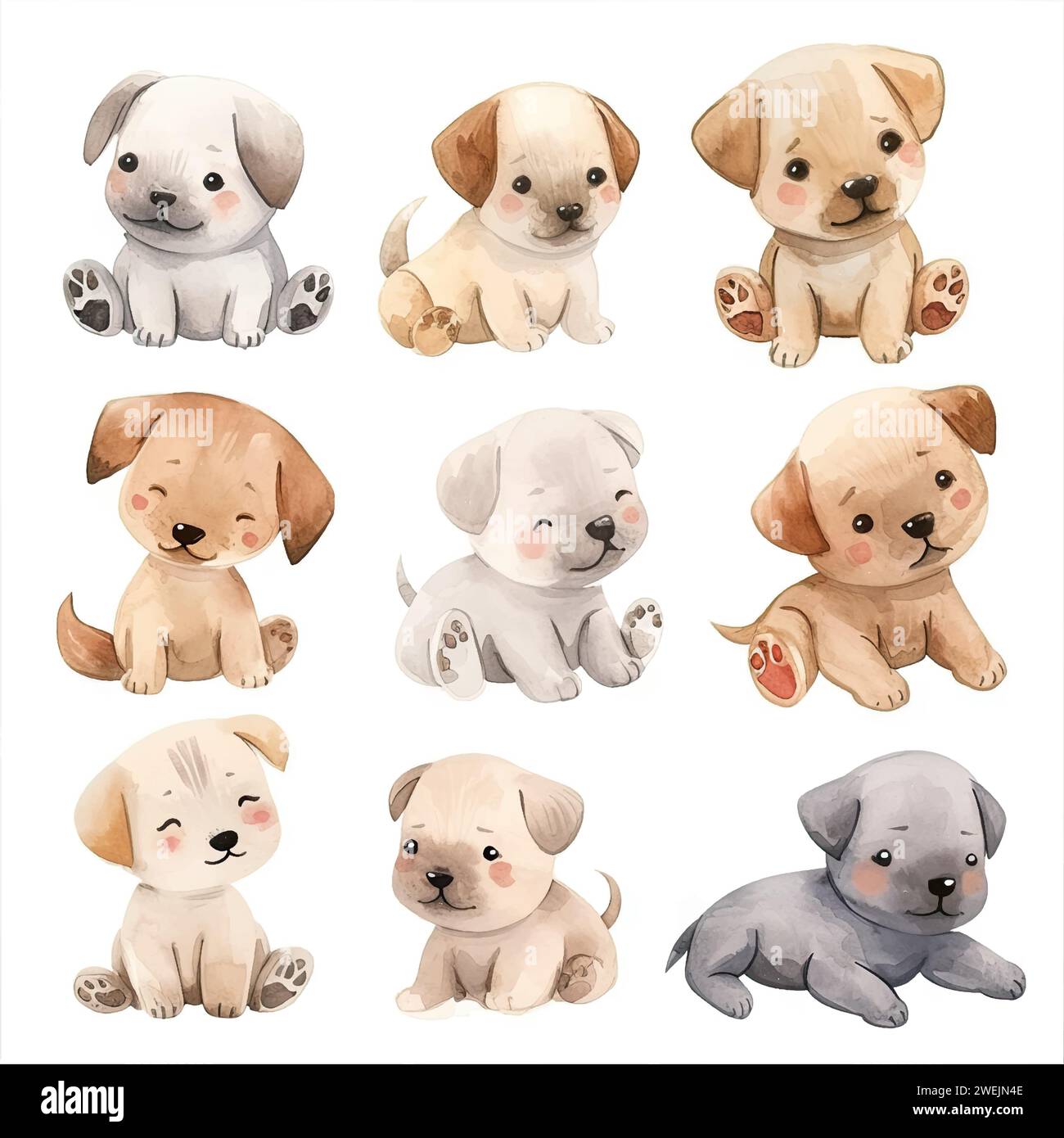 Vector hand drawn puppy collection Stock Vector Image & Art - Alamy