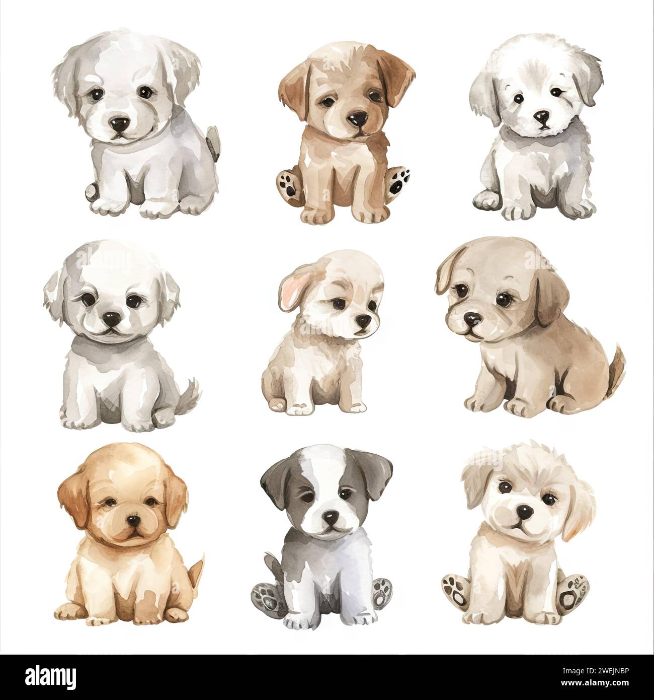 Vector hand drawn puppy collection Stock Vector Image & Art - Alamy
