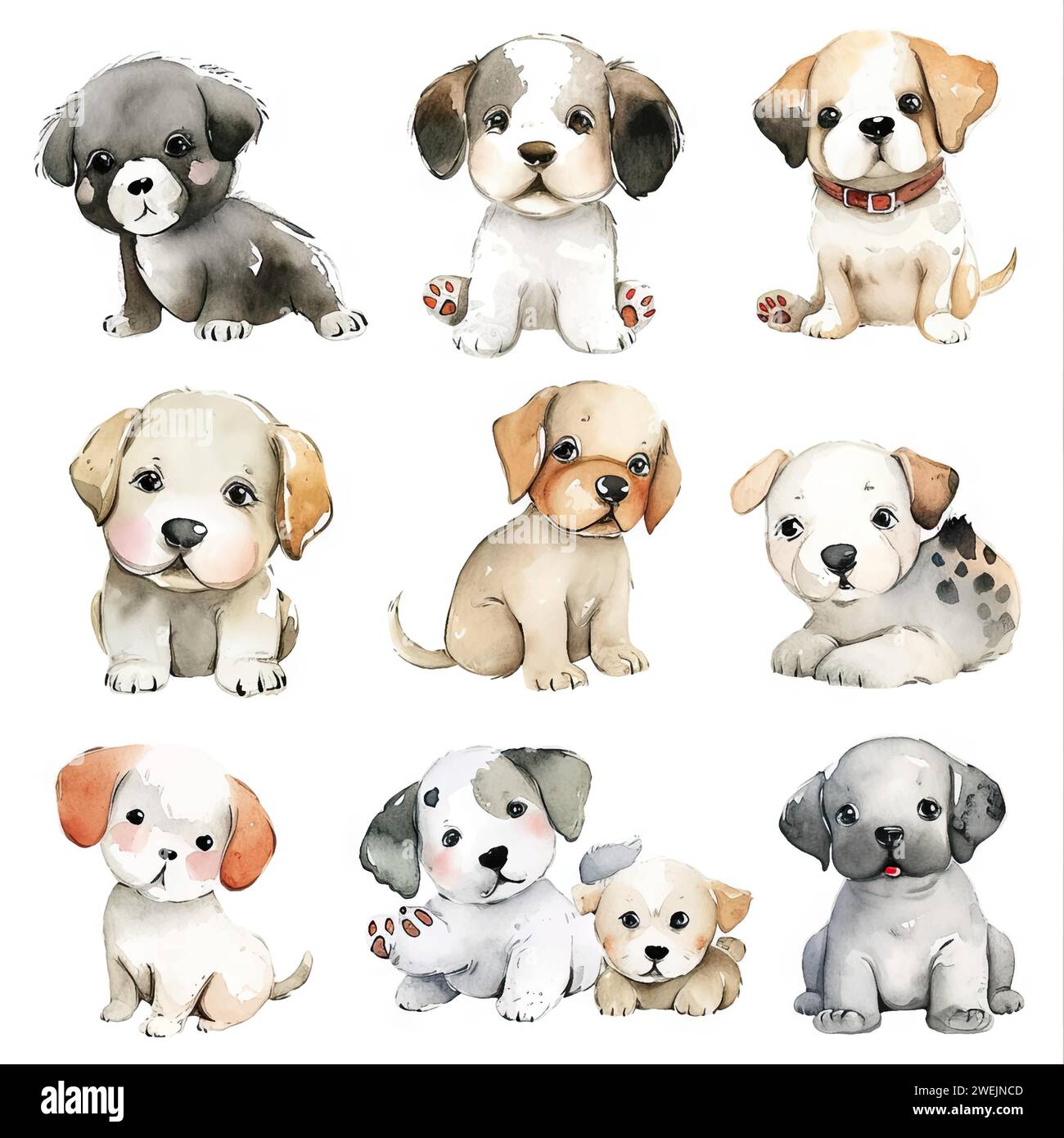 Vector hand drawn puppy collection Stock Vector Image & Art - Alamy