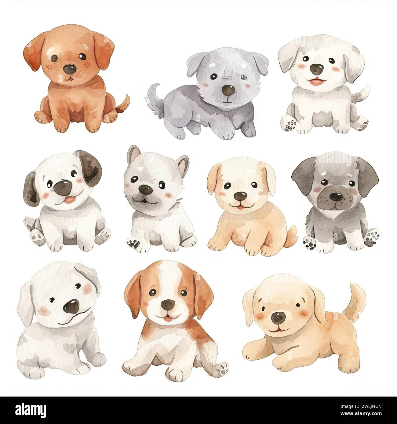 Vector hand drawn puppy collection Stock Vector Image & Art - Alamy