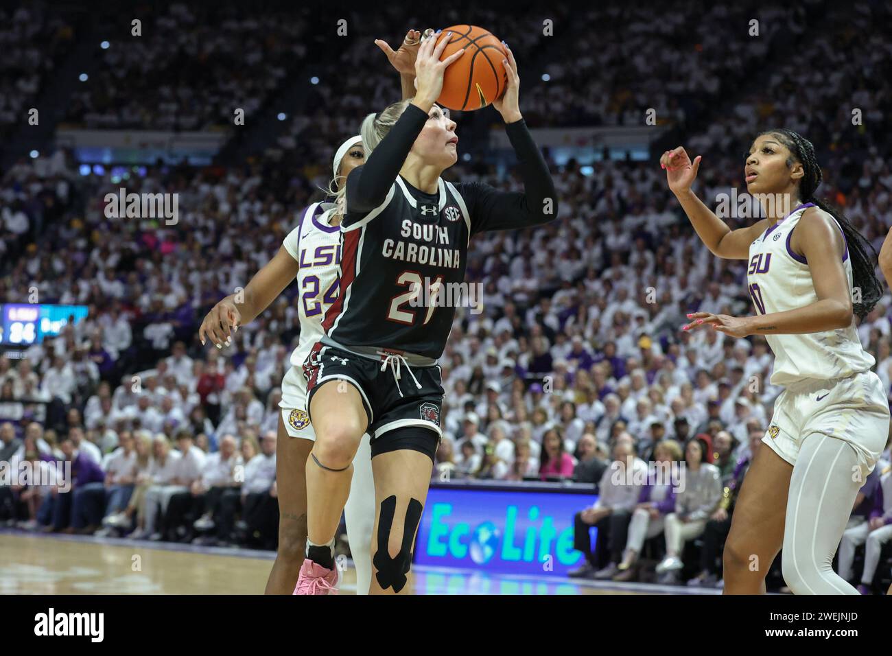 Lsu _18 of 21_ jpg hi-res stock photography and images - Alamy