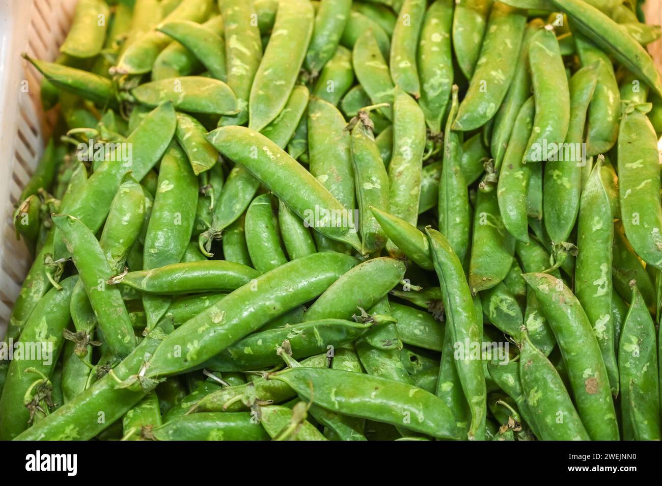 fresh green peas in pods at local vegetable market in cyprus Stock ...