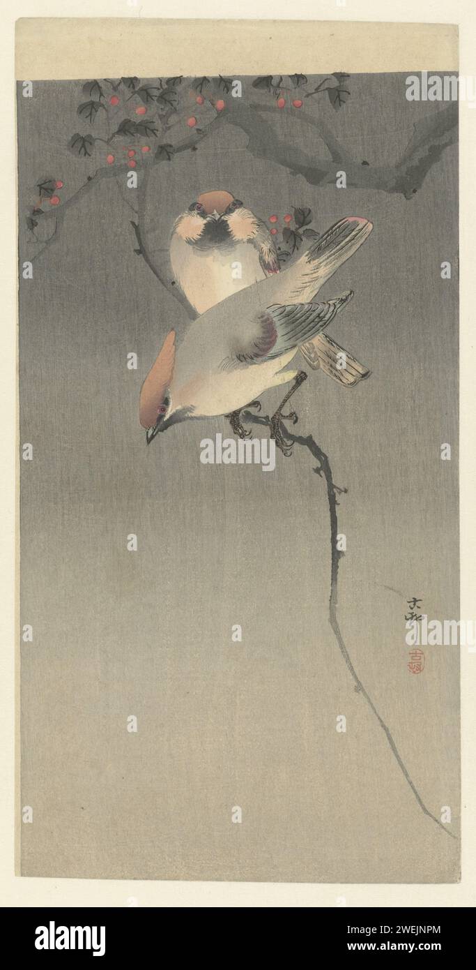 1900 plague hi-res stock photography and images - Alamy