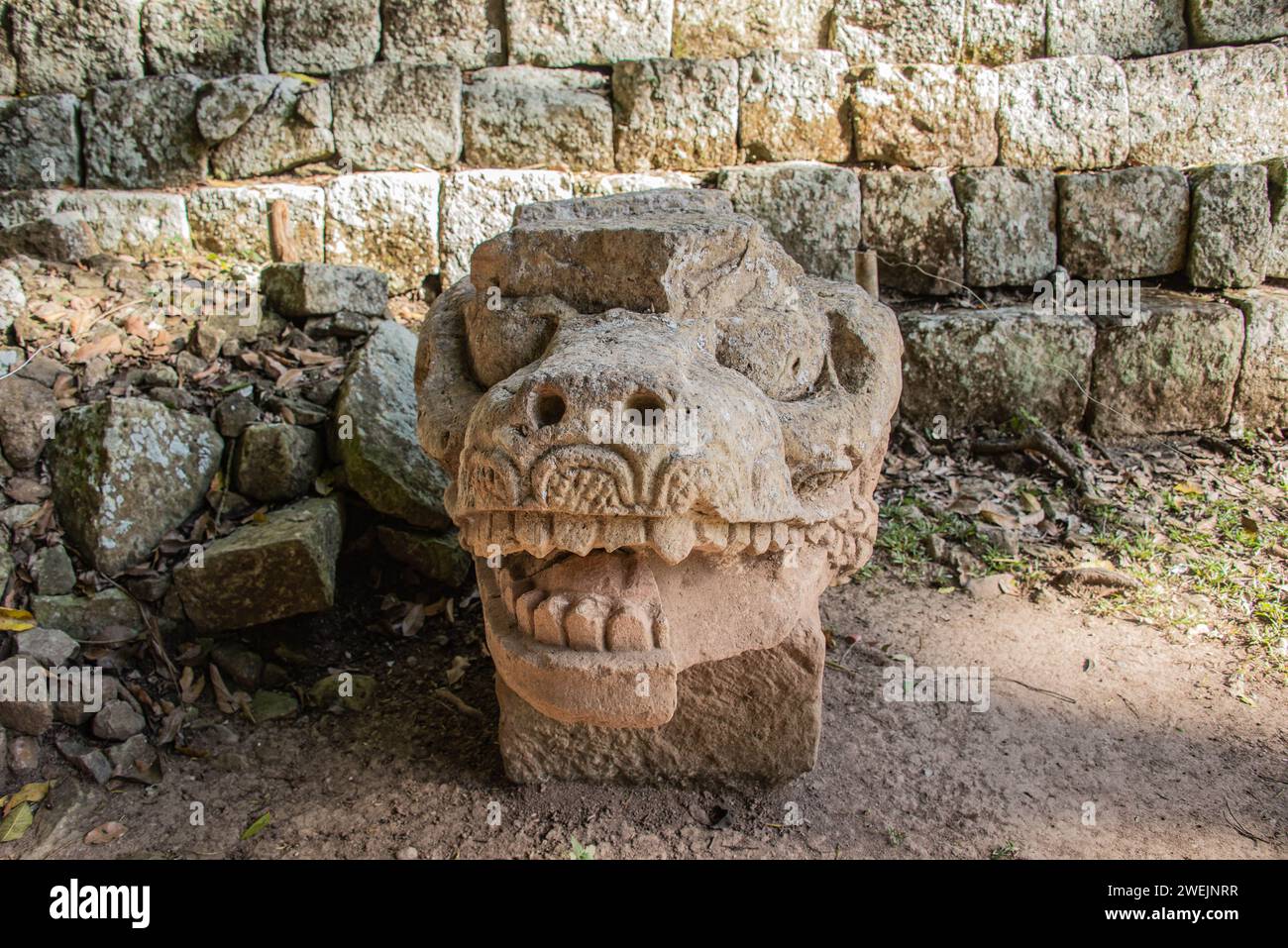 Carving at the Copan Mayan Ruins, Copan Ruinas, Honduras Stock Photo ...