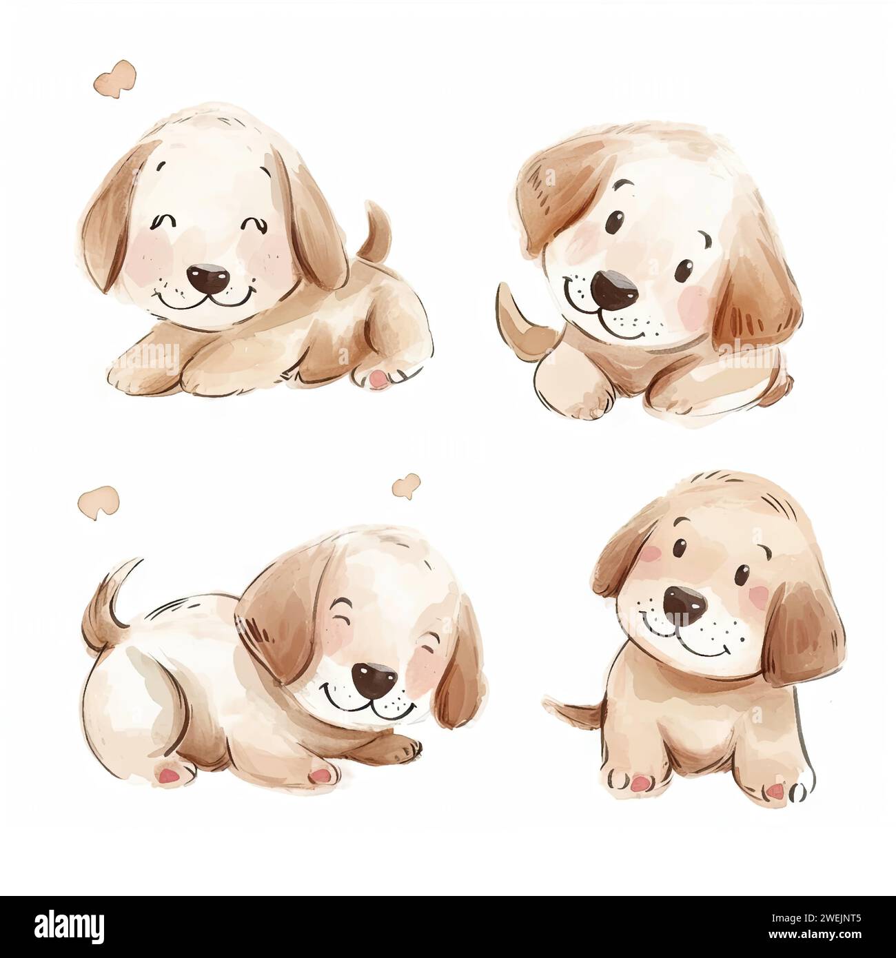 Vector hand drawn puppy collection Stock Vector Image & Art - Alamy