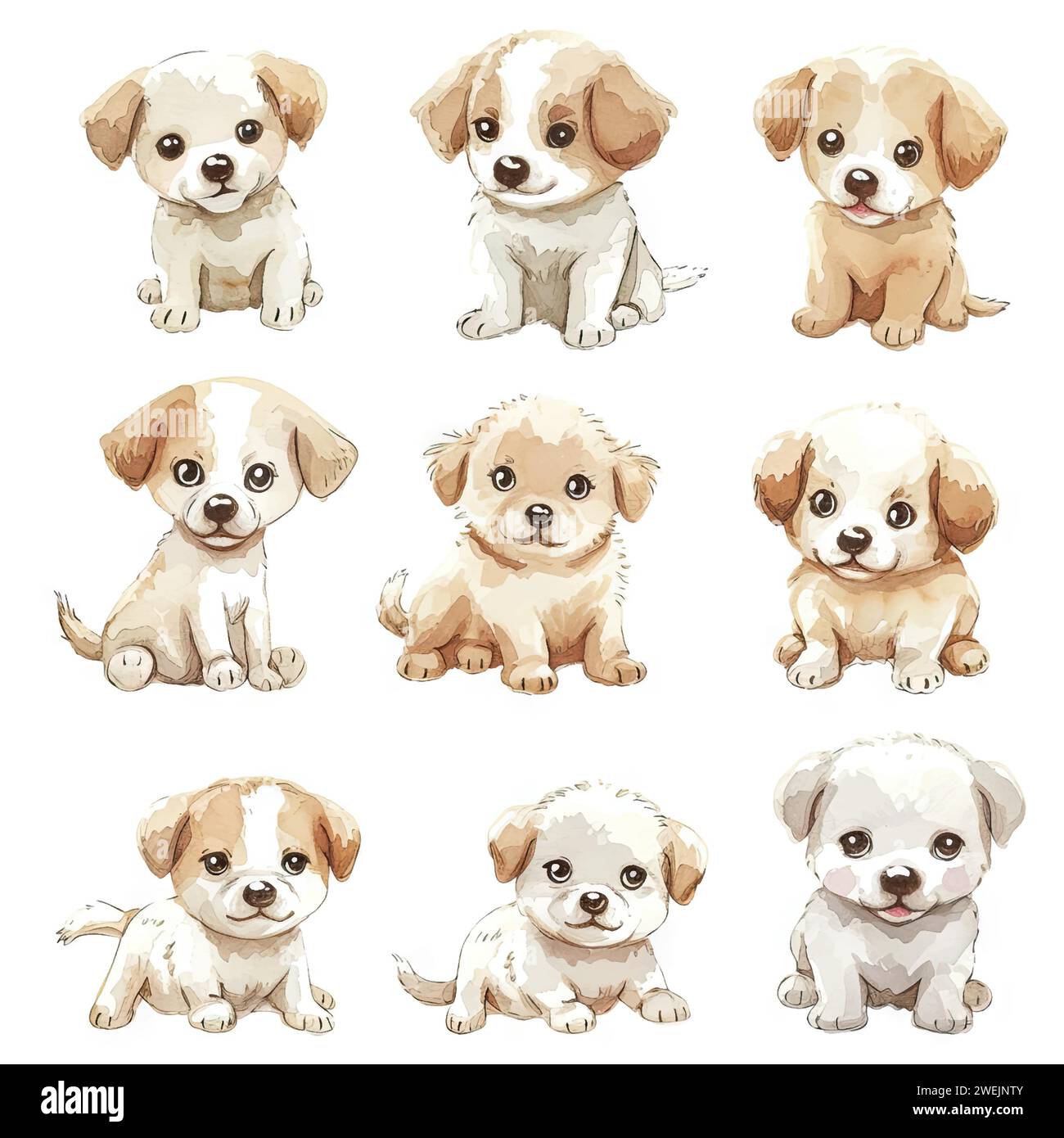 Vector hand drawn puppy collection Stock Vector Image & Art - Alamy