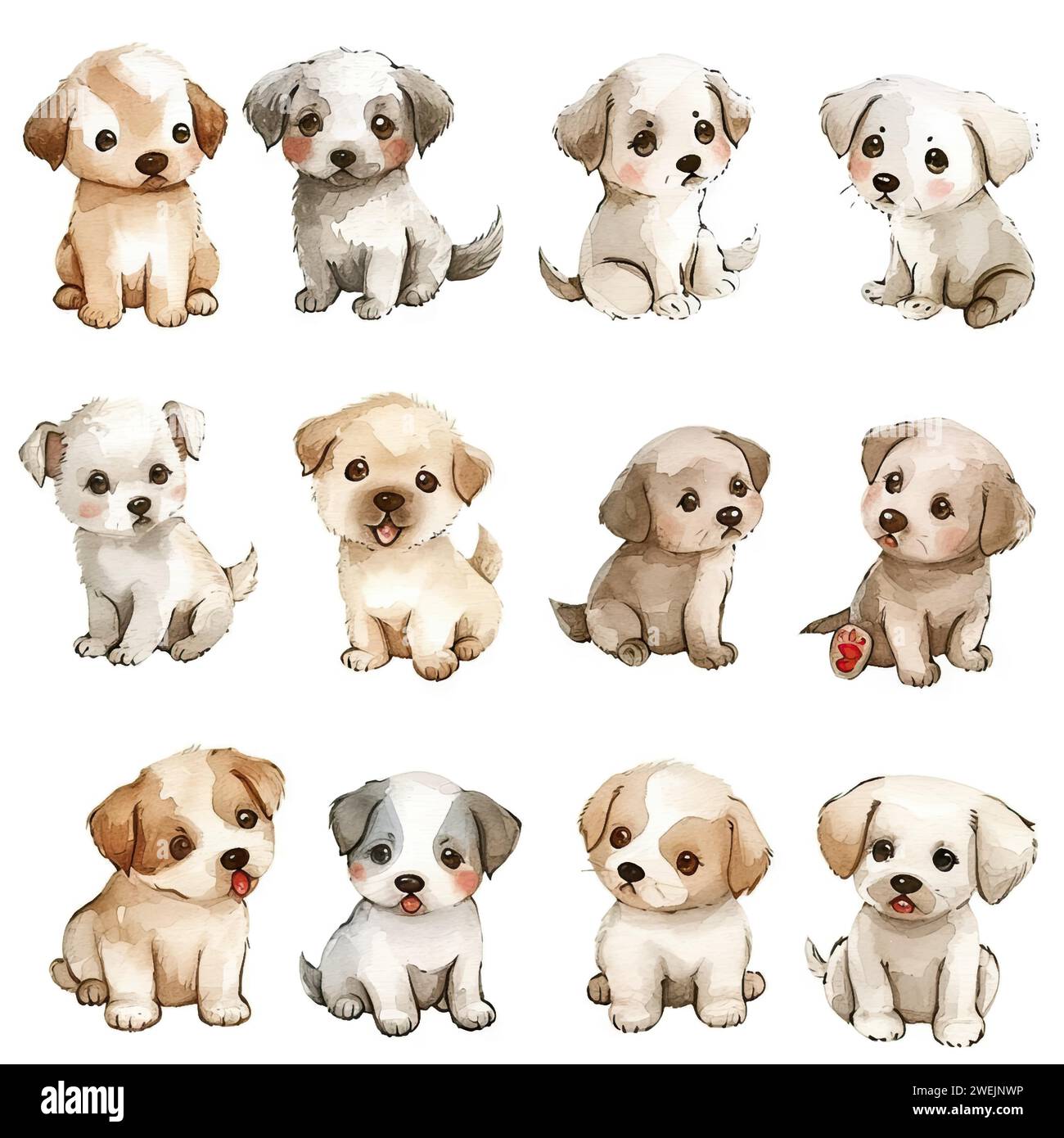Vector hand drawn puppy collection Stock Vector Image & Art - Alamy