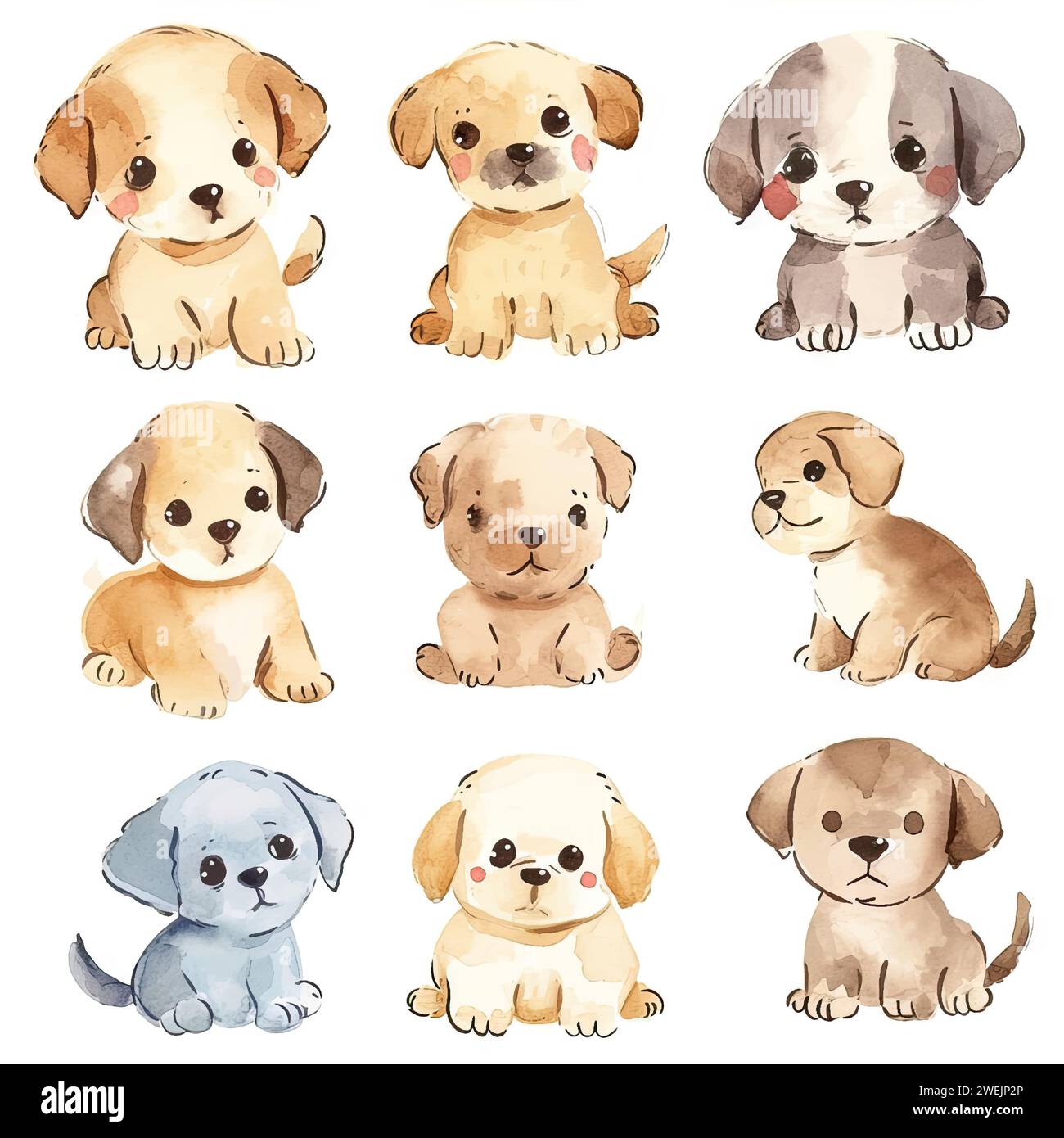 Vector hand drawn puppy collection Stock Vector Image & Art - Alamy
