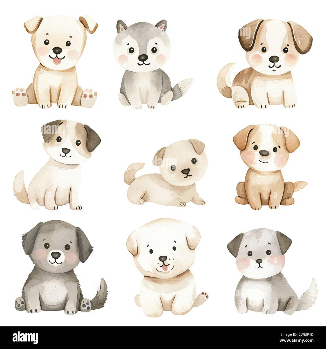 Vector hand drawn puppy collection Stock Vector Image & Art - Alamy