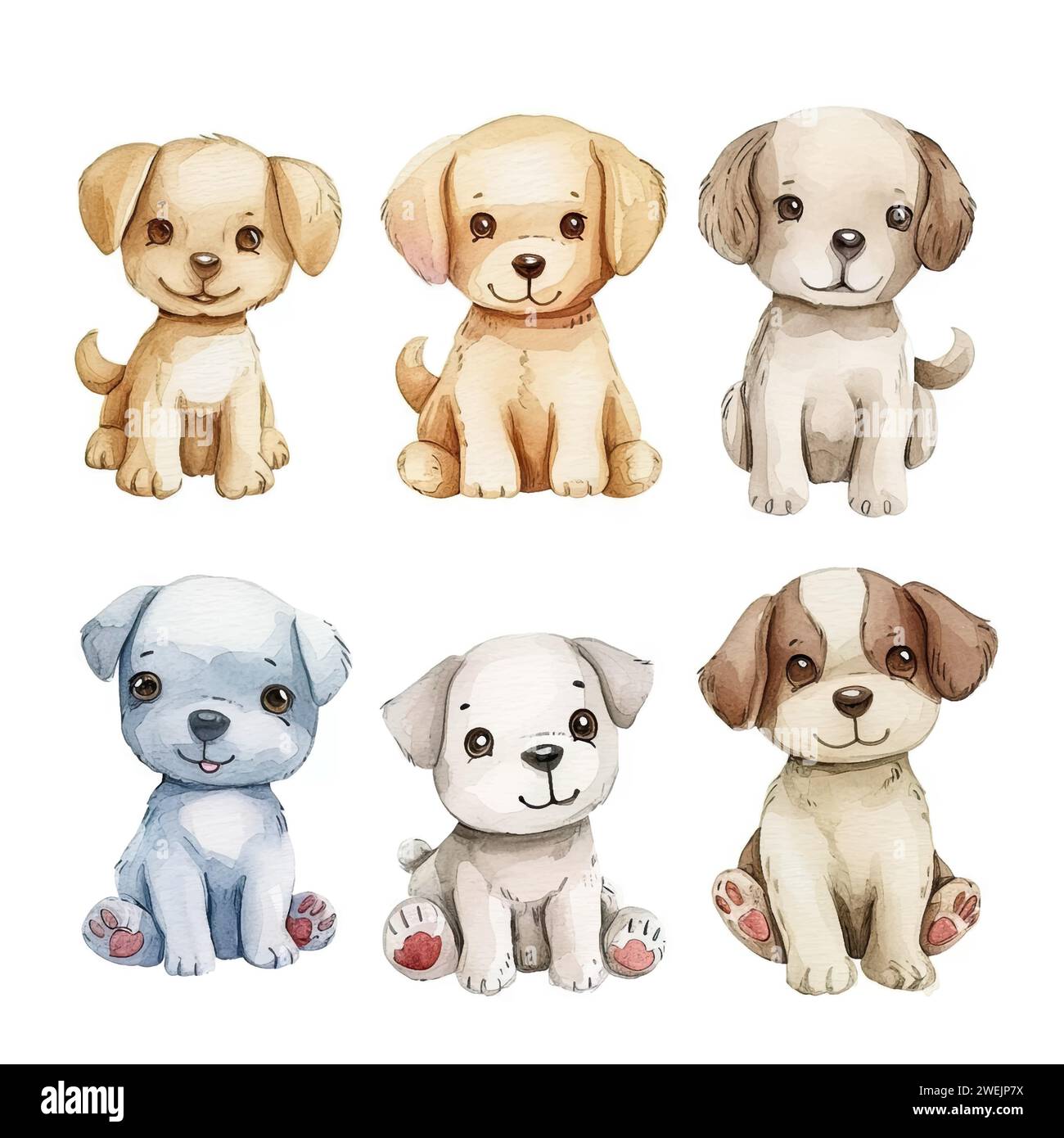 Vector hand drawn puppy collection Stock Vector Image & Art - Alamy