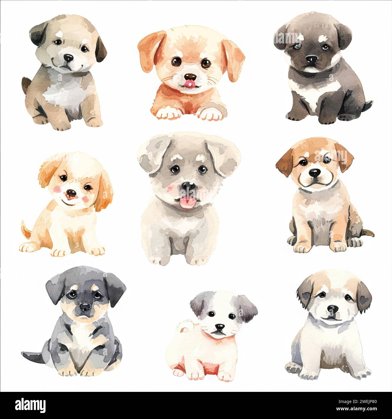 Vector hand drawn puppy collection Stock Vector Image & Art - Alamy
