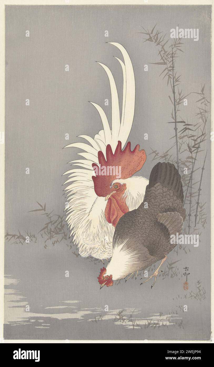 Haan en Kip, Ohara Koson, 1900 - 1930 print White rooster and picking ...