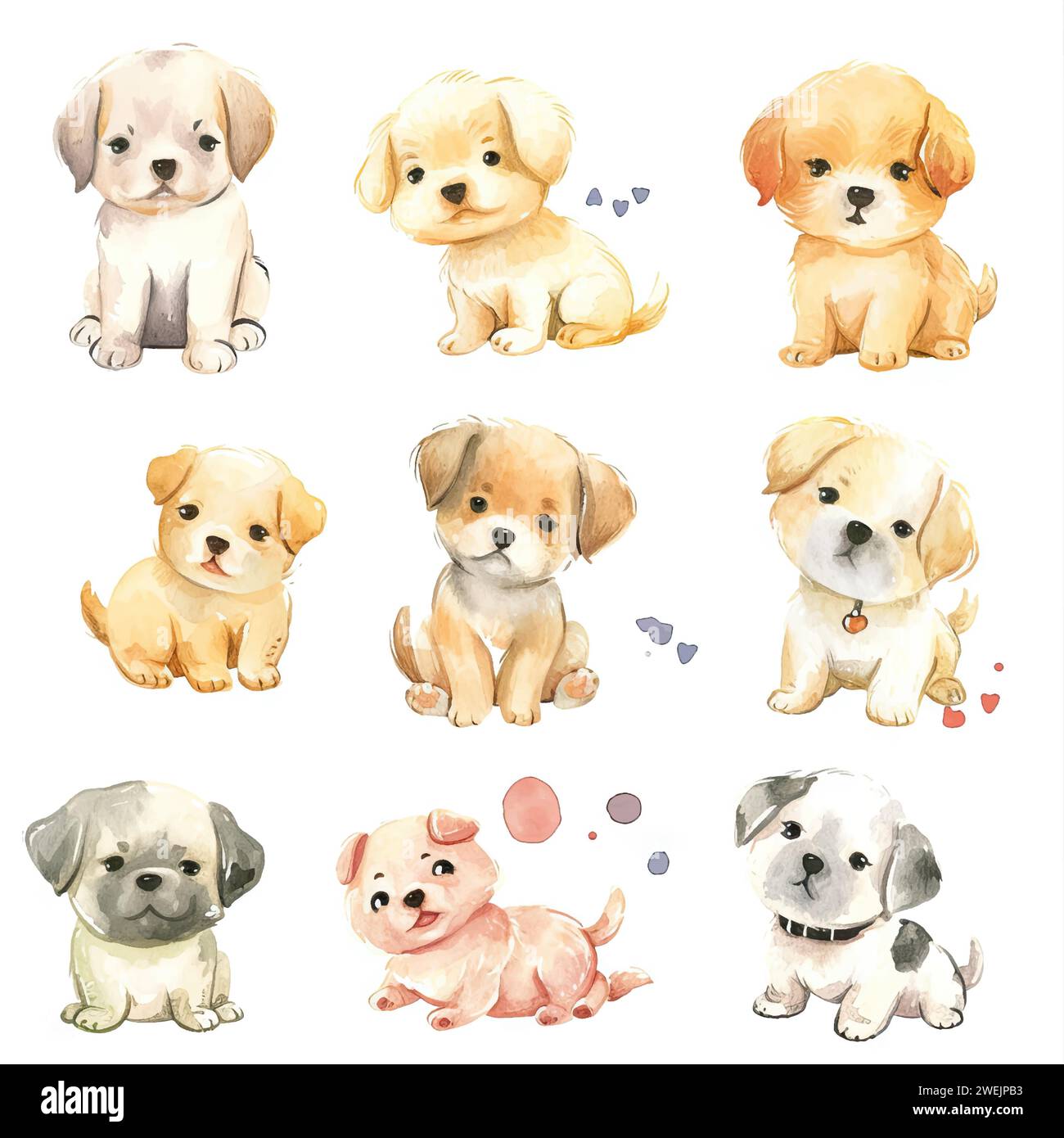 Vector hand drawn puppy collection Stock Vector Image & Art - Alamy