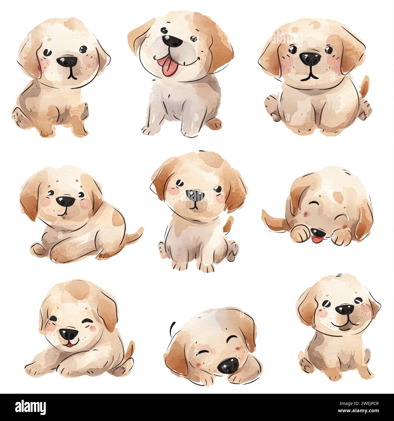Vector hand drawn puppy collection Stock Vector Image & Art - Alamy