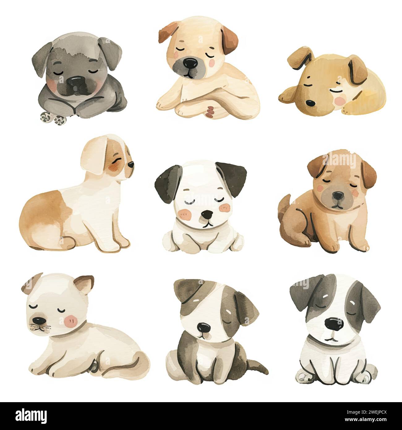 Vector hand drawn puppy collection Stock Vector Image & Art - Alamy