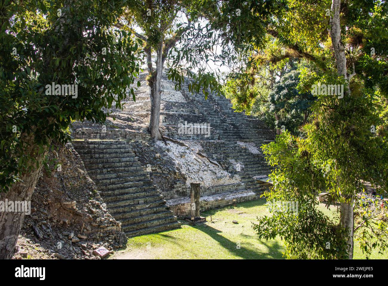 View of the Ball Court at the Copan Mayan Ruins, Copan Ruinas, Honduras ...