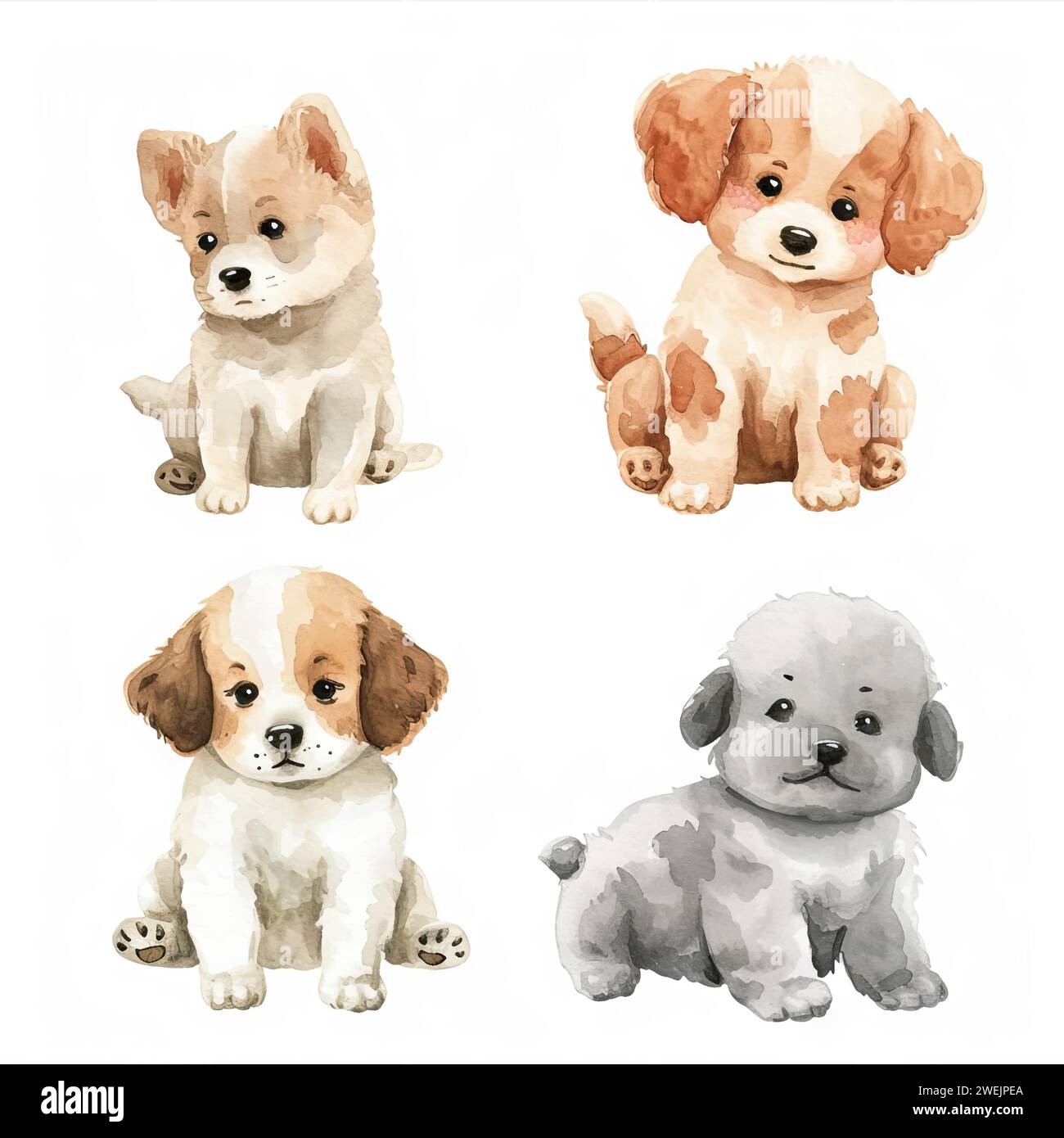 Vector hand drawn puppy collection Stock Vector Image & Art - Alamy
