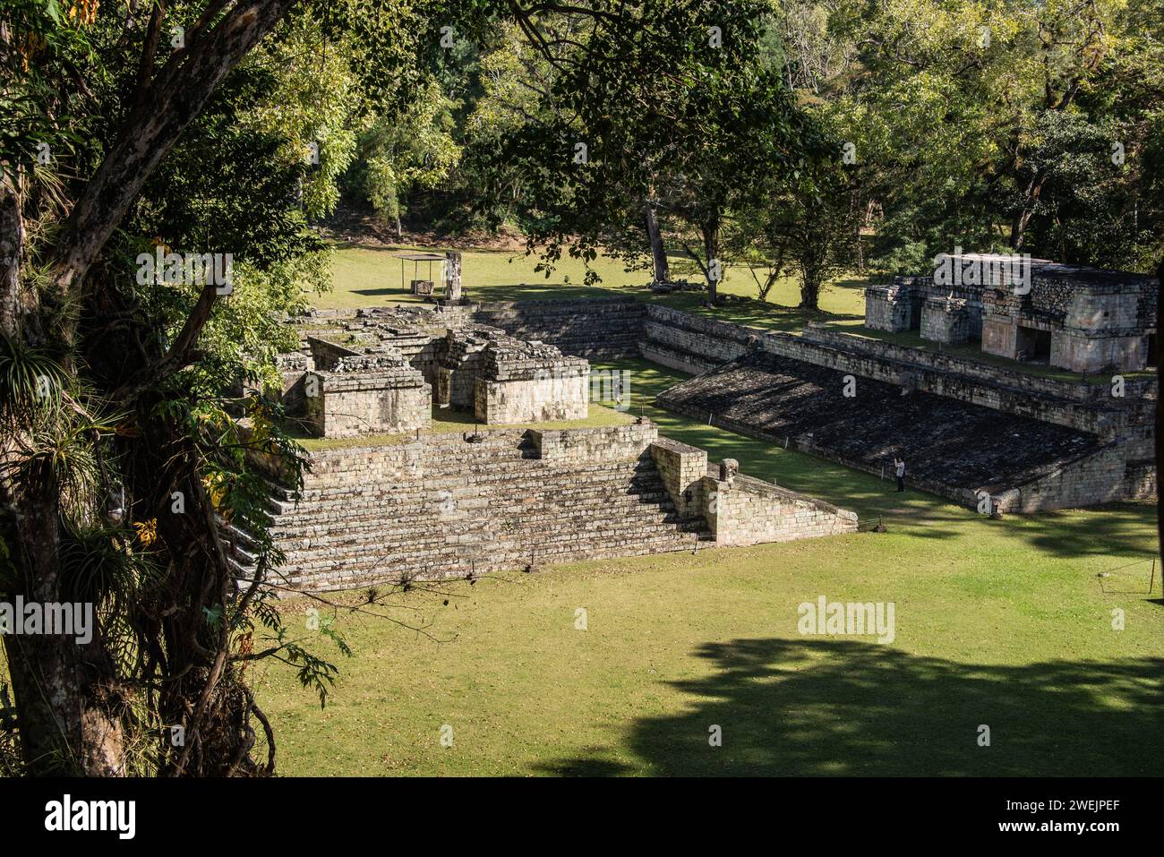 View of the Ball Court at the Copan Mayan Ruins, Copan Ruinas, Honduras ...