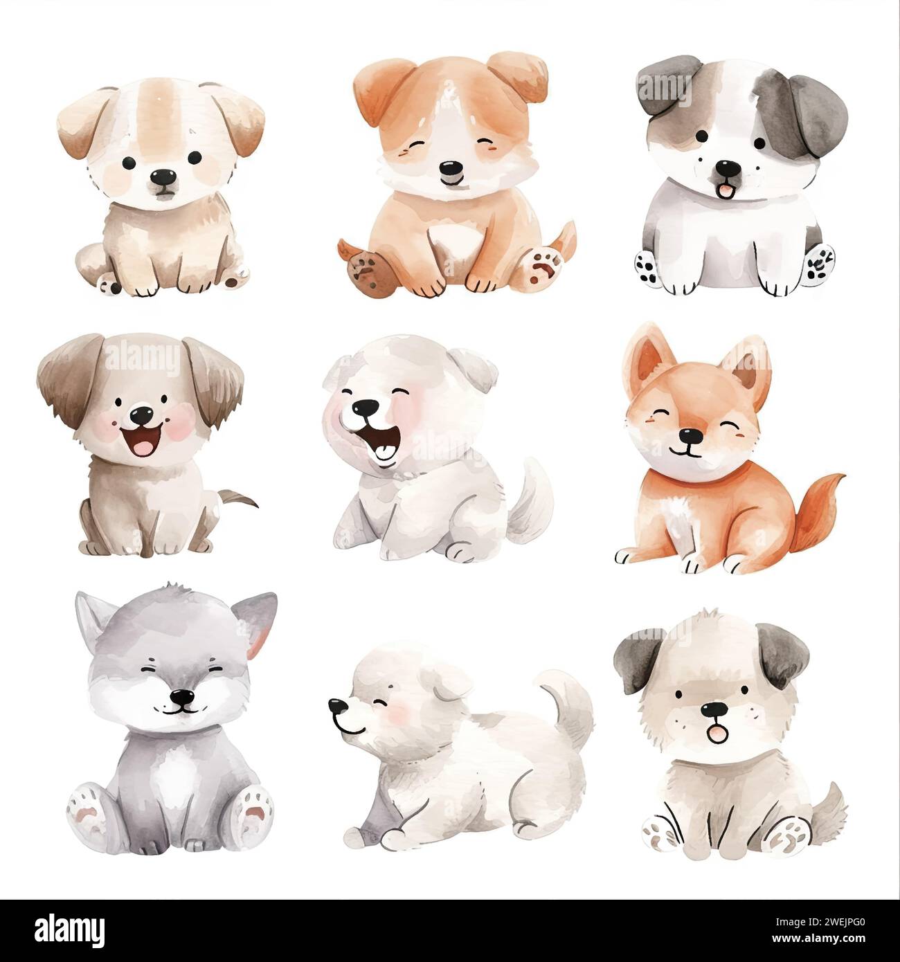Vector hand drawn puppy collection Stock Vector Image & Art - Alamy
