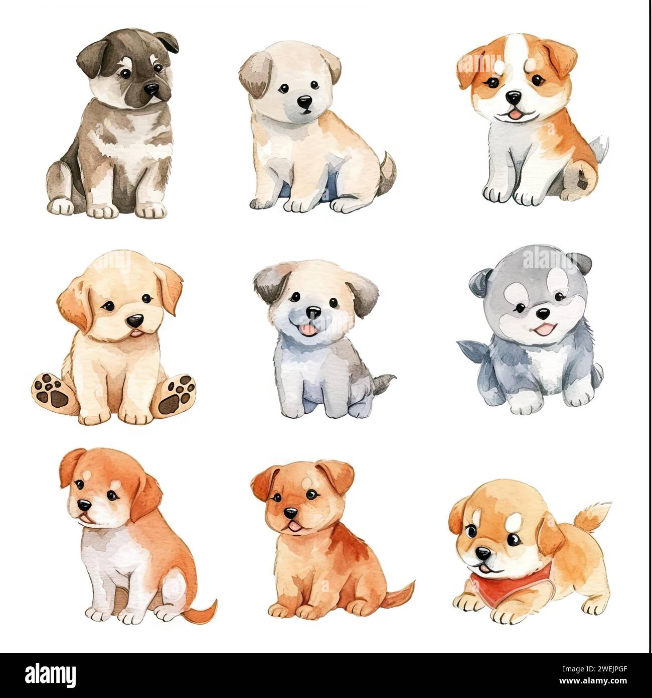 Vector hand drawn puppy collection Stock Vector Image & Art - Alamy