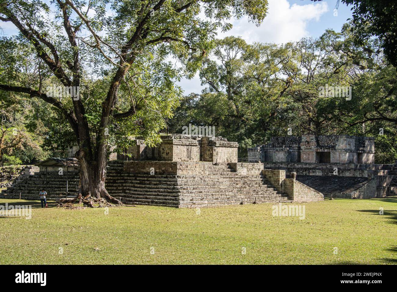 View of the Ball Court at the Copan Mayan Ruins, Copan Ruinas, Honduras ...