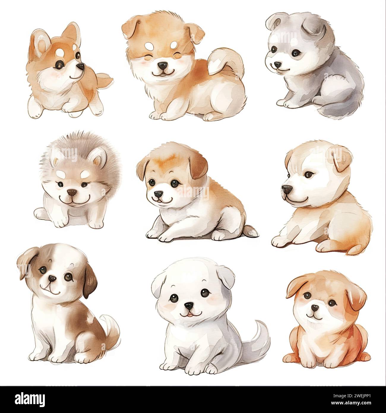 Vector hand drawn puppy collection Stock Vector Image & Art - Alamy