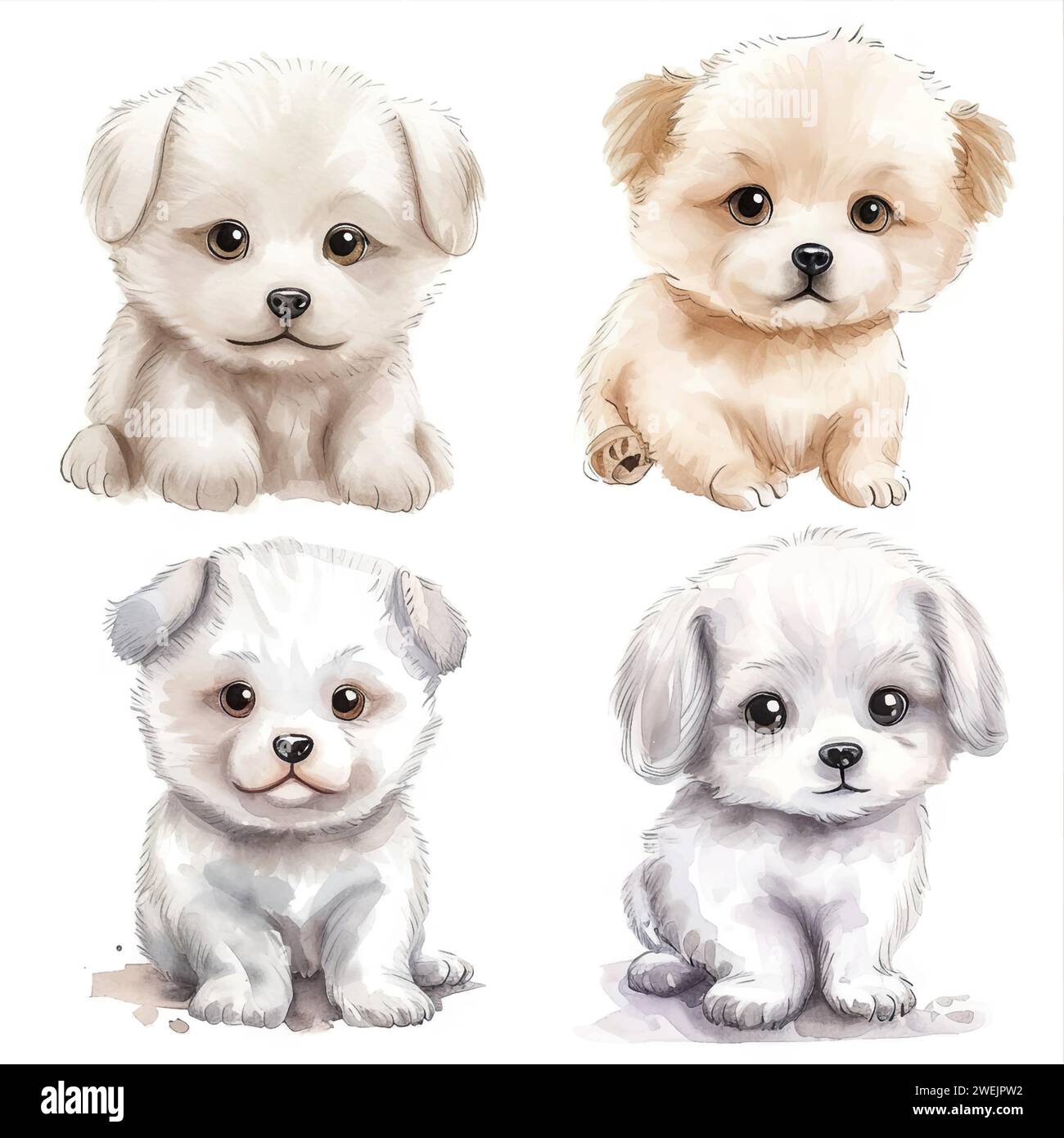 Vector hand drawn puppy collection Stock Vector Image & Art - Alamy