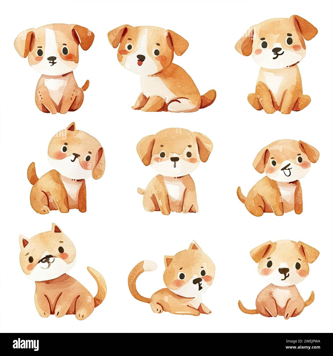 Vector hand drawn puppy collection Stock Vector Image & Art - Alamy